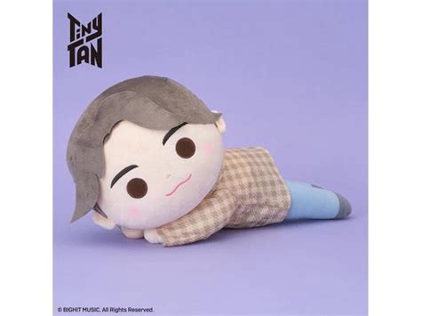 Bts Tinytan Dreamy Mej Doll Dy Jung Kook Plush