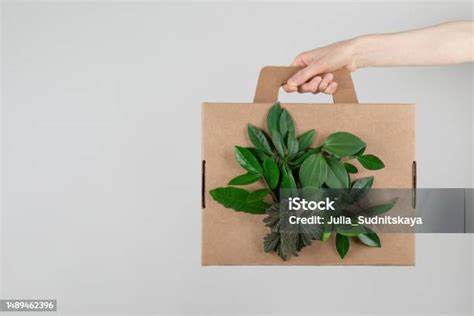 녹색 잎 새싹이 있는 천연 재활용 재료로 만든 카드 상자를 들고 있는 여자 책임감 있는 소비 친환경 포장 및 폐기물 제로 개념에 대한 스톡 사진 및 기타 이미지 Istock