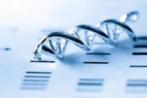 A Detailed Look At The Science Of Molecular Genetics
