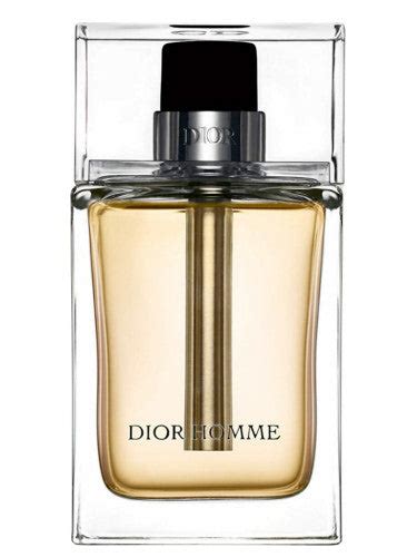 Dior Homme 2005 by Dior – Bloom Perfumery London