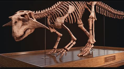 Artstation Psittacosaurus Skeleton
