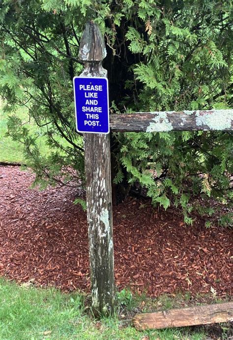 More Noise Has Been Signaled Spectra Markets