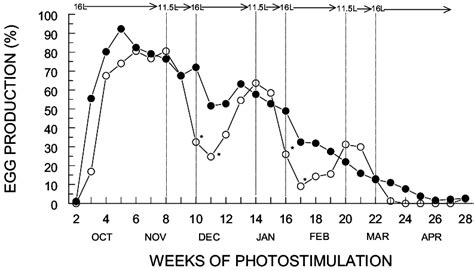 Relative Photorefractoriness Rpr Precedes Absolute Download