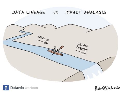 Dataedo Data Cartoon