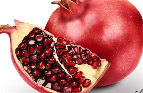 Pomegranate Realistic Drawings At Jack Waller Blog