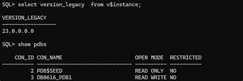 simplifying privilege management in oracle 23ai with schema level