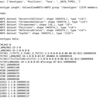 A Screenshot Of The Raw G F G Data Stored In A Single HDF File Showing Download Scientific