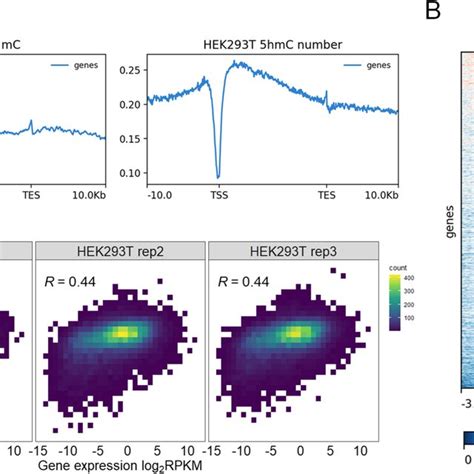 Enrichment Based Single Base Resolution 5hmc Sequencing Ebs Seq