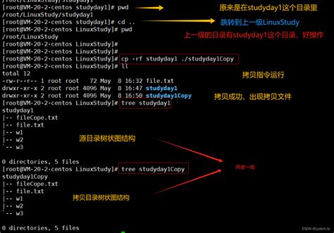 Linux基于centos指令初学2centos Rm Rf Csdn博客