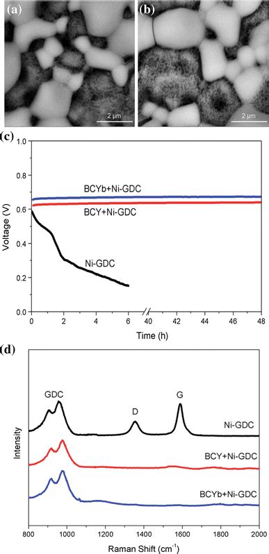 Microstructures Of The Reduced A Bcy Ni Gdc And B Bcyb Ni Gdc Download Scientific Diagram