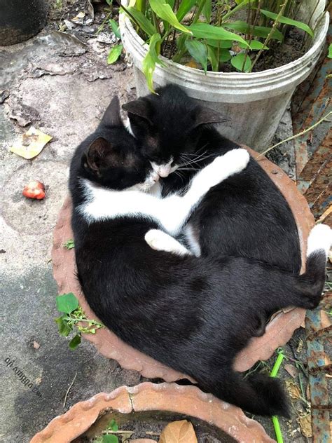 កូនសៀវភៅ អ្នកចាស់ Add មក ប្រពន្ធ ខ្ញុំ កំពុង ដេក ក្បែរ ខ្ញុំ ស្រាប់តែ ខ្ញុំ ទទួល ដំណឹង តាម