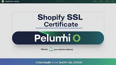 install an ssl certificate and secure your shopify store error