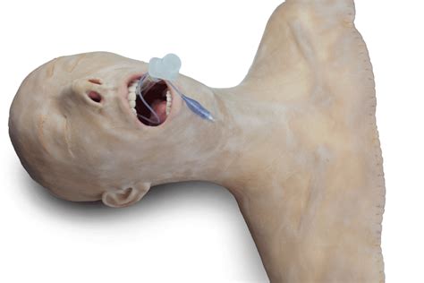Adult Airway Trainer SynDaver