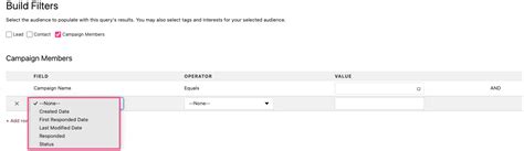 segmenting data in salesforce for mailchimp hello kloud