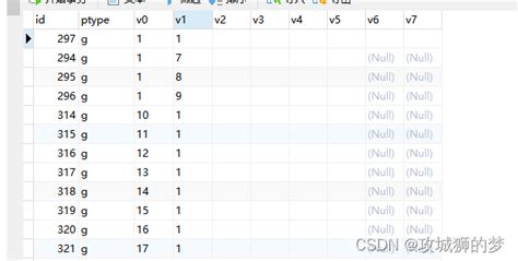 go的casbin权限控制 casbin 数据权限 csdn博客