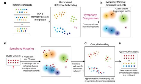 automatic cell type identification methods for single cell rna