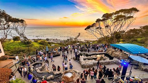 Birch Aquarium At Scripps All You Need To Know Before You Go 2025