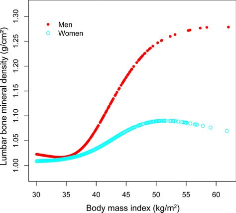 The Association Between Bmi And Lumbar Bmd Stratifified By Sex Age Download Scientific