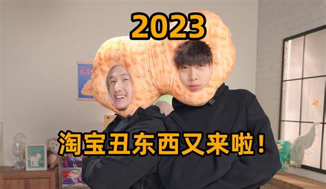 2023年度淘宝丑东西大赏又来啦！！ 王瀚哲 王瀚哲 哔哩哔哩视频