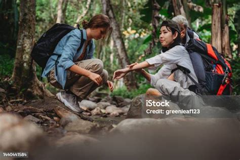 여자 가족 또는 친구 그룹 트레킹 여행 모험 라이프 스타일 자연 산악 하이킹 휴가 휴가 여행과 함께 휴가 메이커의 여행 행복한 여가 여름 14 15 살에 대한 스톡 사진 및