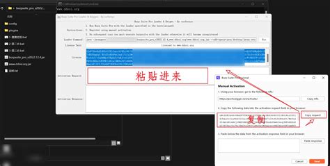 Burpsuite Pro 20236破解版 Cracked 新增bcheck