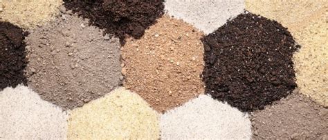 Видове почви Озеленители