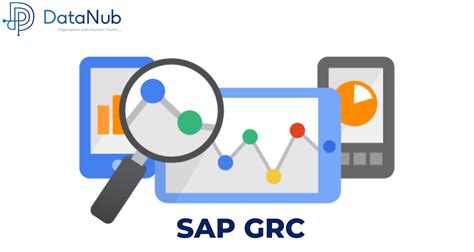 Sap Grc Datanub Technologies