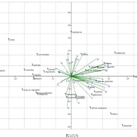 Principal Coordinate Analysis Pcoa Performed On 40 Morphological