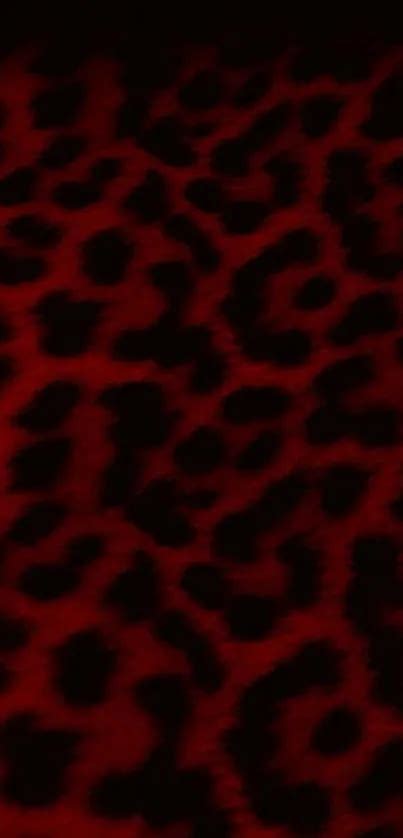 Red Leopard Print Wallpaper Free Download