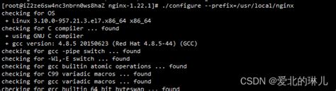 Centos安装nginxcentos 安装nginx Csdn博客 Centos安装nginxcentos 安装nginx Csdn博客