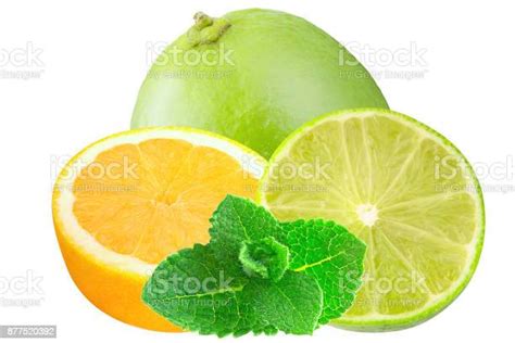 슬라이스 레몬과 라임 클리핑 패스와 함께 흰색 바탕에 민트 Iisolated와 함께 감귤류 과일에 대한 스톡 사진 및 기타 이미지 감귤류 과일 개체 그룹 건강한 생활