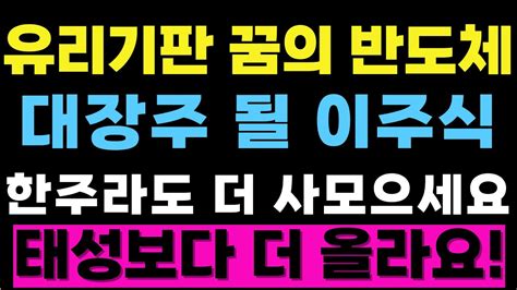주식 유리기판 꿈의 반도체 대장주 될 이주식 한주라도 더 사모으세요 태성보다 더 올라요 Youtube