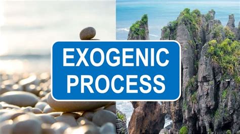 Exogenic Processespptx