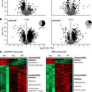 LCMS MS Based Proteomics Identifies Expression Changes In Pathways Download Scientific Diagram
