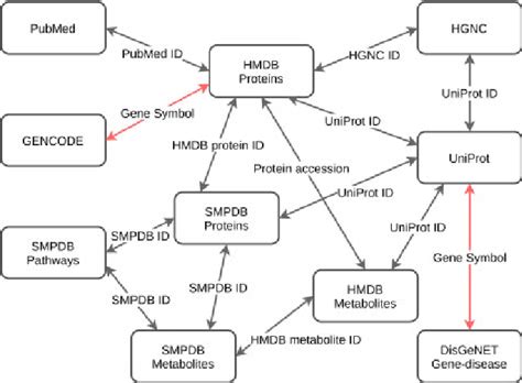 Subnetwork Of The Bidirectional Virtual Relational Network Accessible Download Scientific