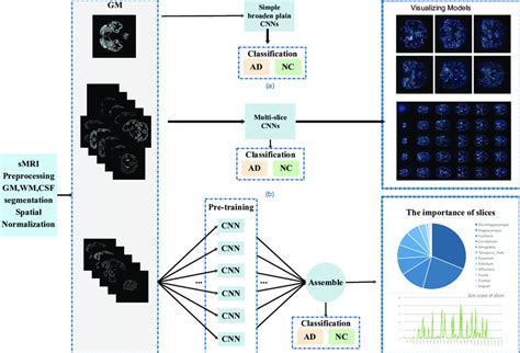 Pipeline Of The Proposed Approach Note A Simple Broaden Plain Cnns Download Scientific