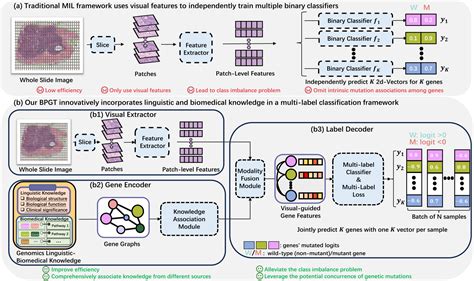논문 리뷰 Predicting Genetic Mutation From Whole Slide Images Via