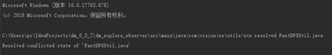 Svn E155015java Isan Existing Item In Conflict；please Mark The