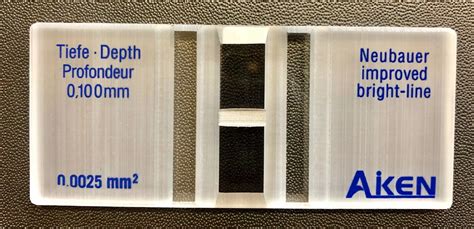 Neubauer Hemocytometer For Precise Cell Counting Philippines Ubuy