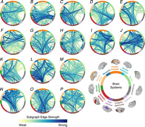 subgraphs of functional brain networks identify dynamical constraints
