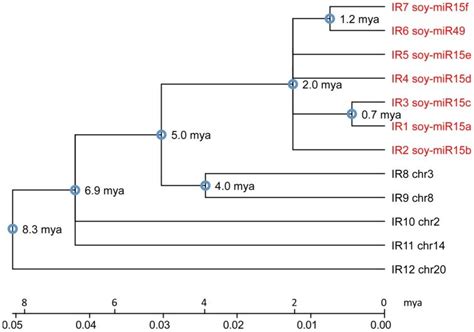 The Total Length Of The Inverted Repeat Ir Sequences 1 To 8 And Their