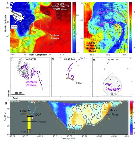 Clustering And Vertical Velocity At A Submesoscale Front Measured Download Scientific Diagram
