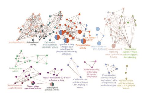 Cluego Analysis Of Molecular Functions Of Regulated Genes In Copd Rat