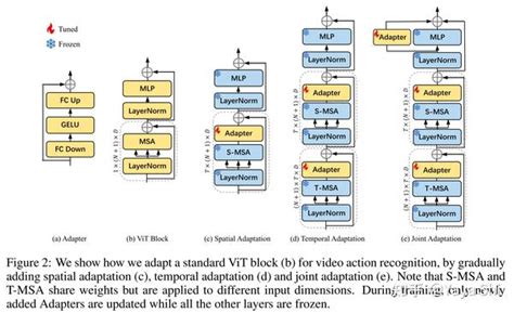 [论文阅读] Aim Adapting Image Models For Efficient Video Action
