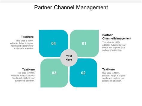 Partner Channel Management Ppt PowerPoint Presentation Outline Templates Cpb