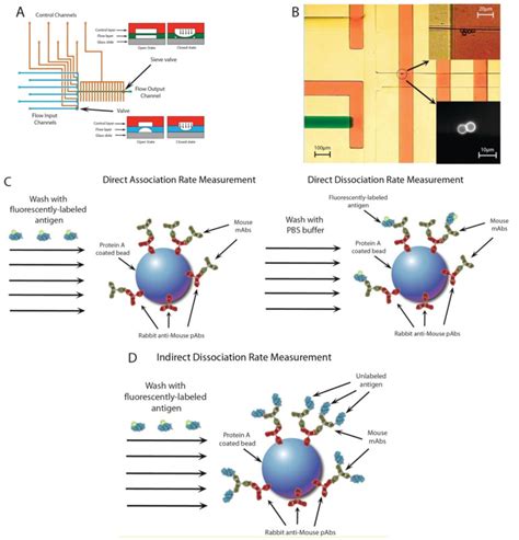 Microfluidic Compartmentalization Platforms For Single Cell Analysis Pmc