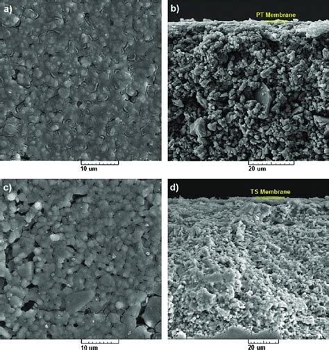 Fesem Micrographs Of The Surface And The Cross Section Of The A And B Download Scientific