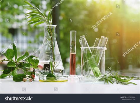 Bio Organic Images Stock Photos Vectors Shutterstock