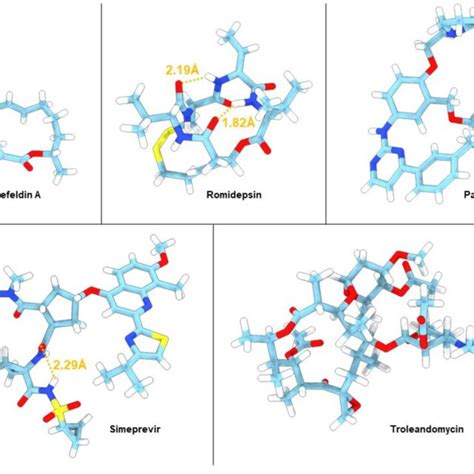 MicroED Structures Of Five Of The Macrocycles Atom Color C Light Download Scientific Diagram