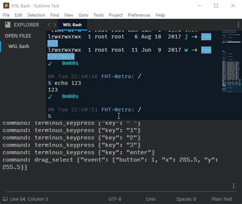finally a multi platform terminal running in sublime text plugin